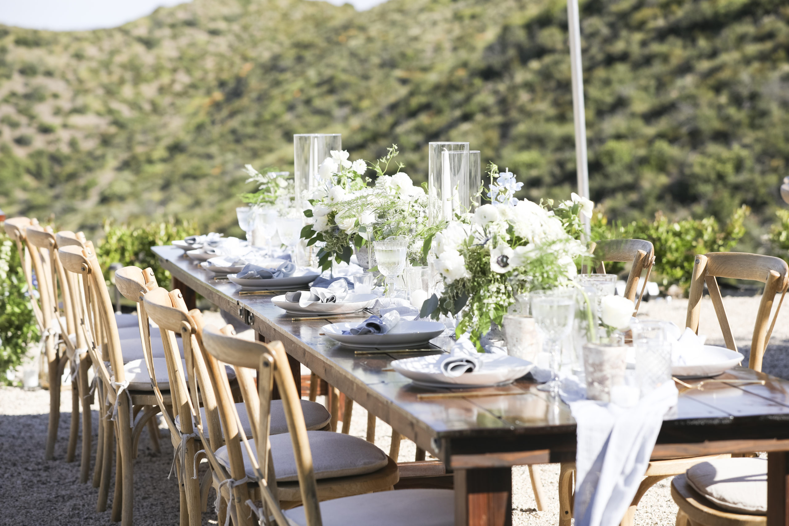 Sierra + Matti's Airbnb Spring Wedding - delaplanning.com