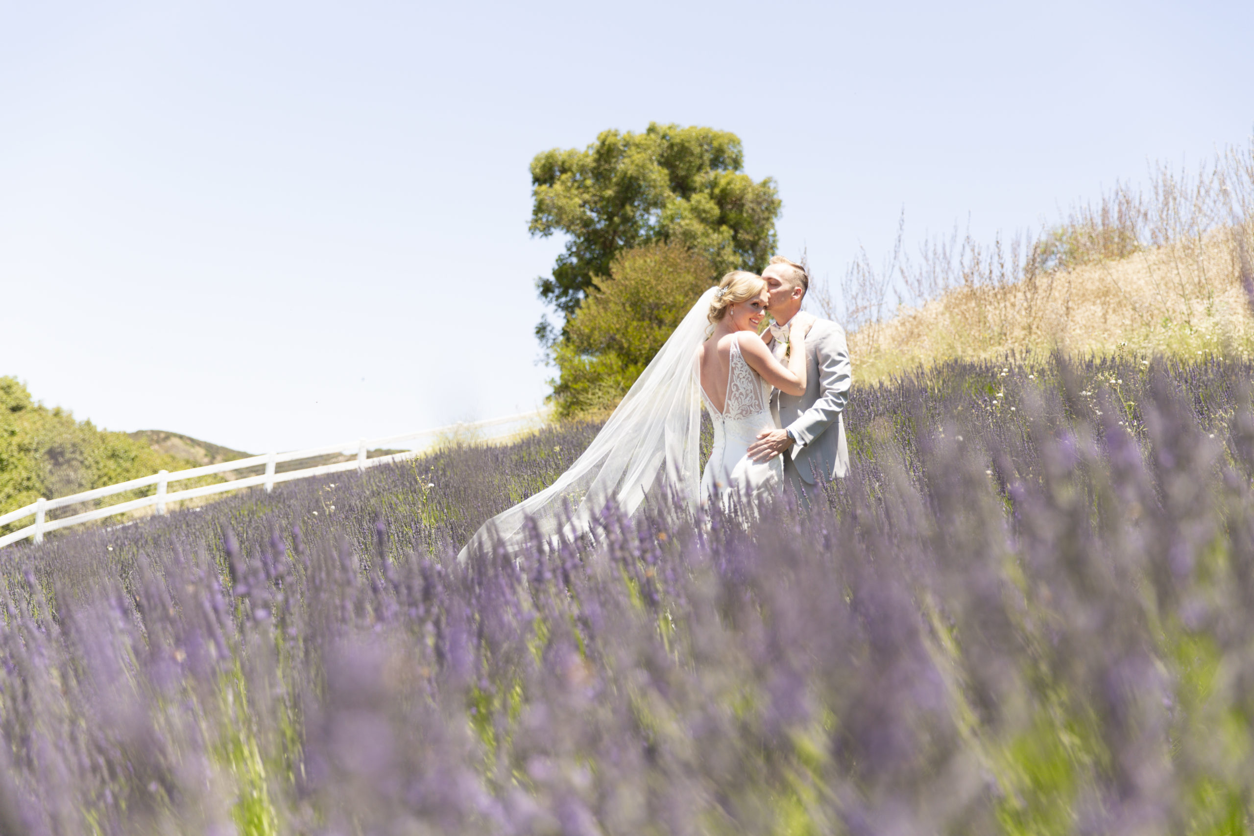 Sierra + Matti's Airbnb Spring Wedding - delaplanning.com