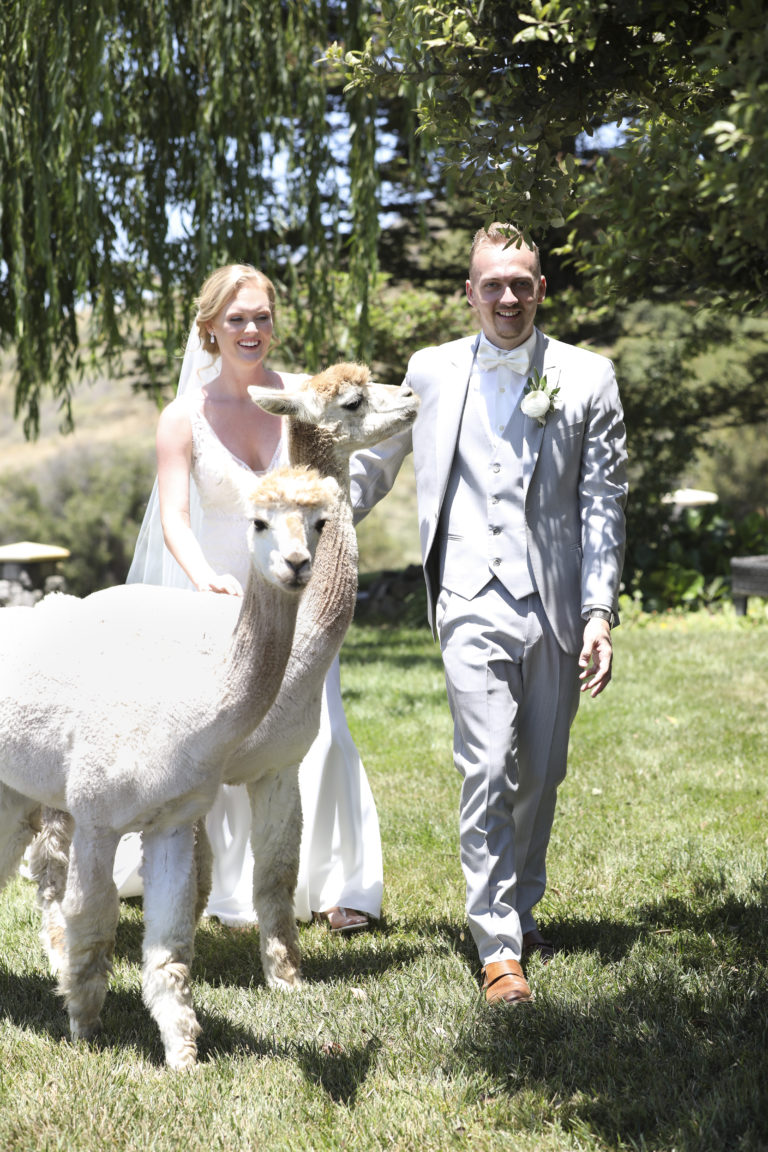 Sierra + Matti's Airbnb Spring Wedding - delaplanning.com